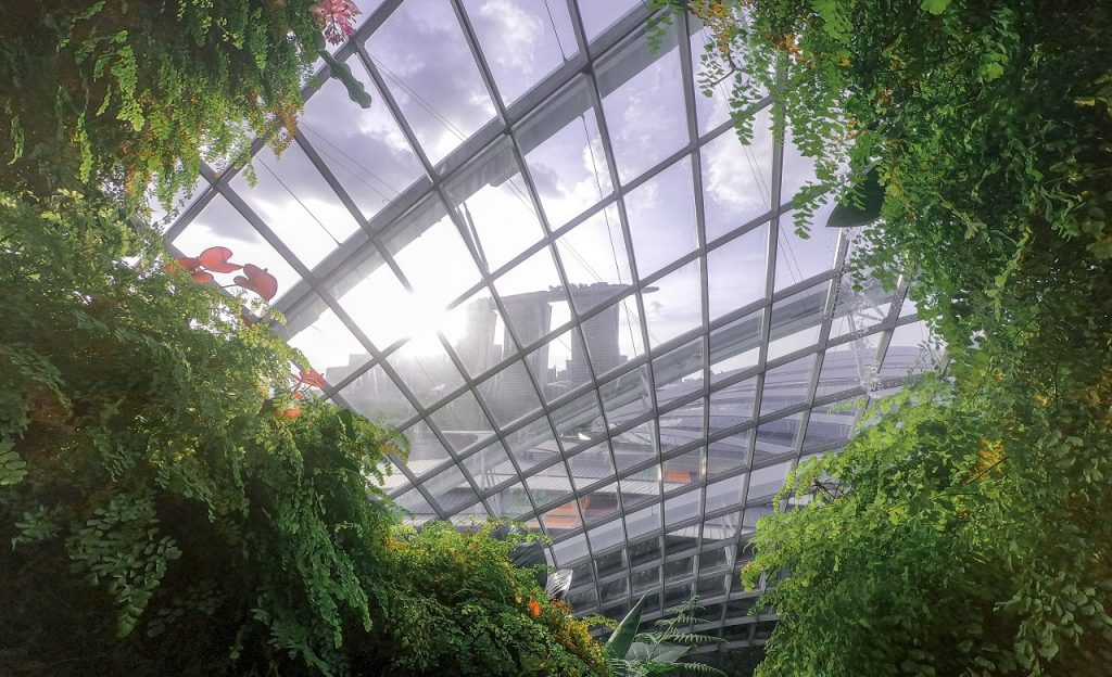 Conoce los 8 proyectos más destacados por arquitectura sustentable ...